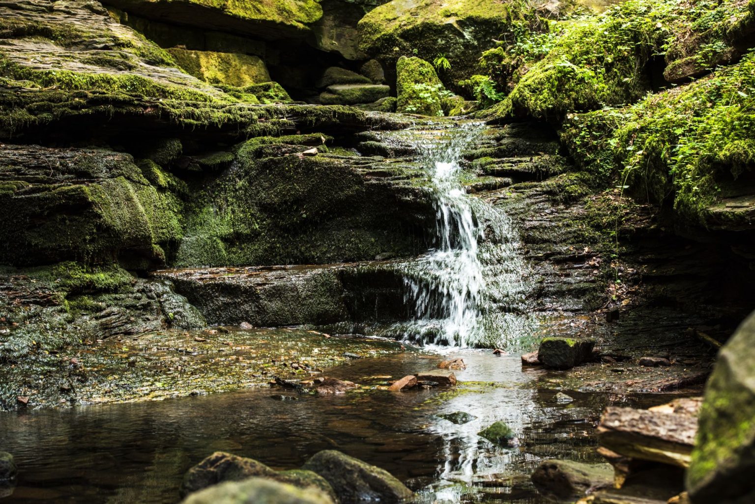 Wasserfälle im Monbachtal | Hotel Hochwald